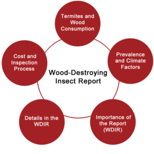 Termite Bonds and Warranties, Termite Inspections and Letters (The ...